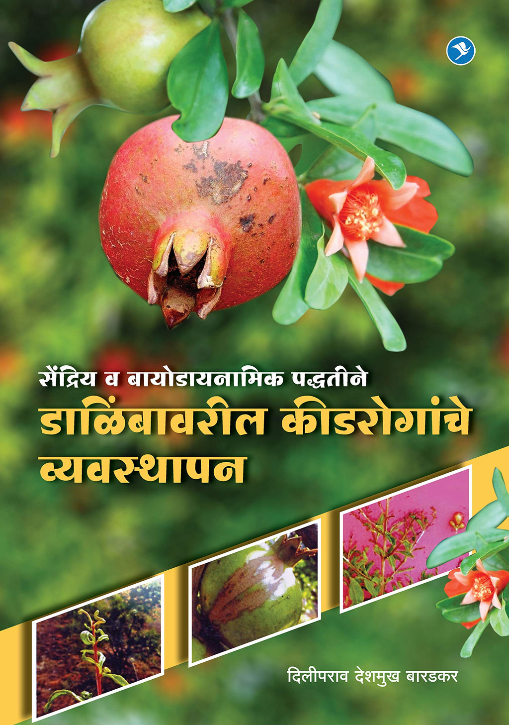 Dalimbavaril Kidroganche Vyavasthapan – BookStation