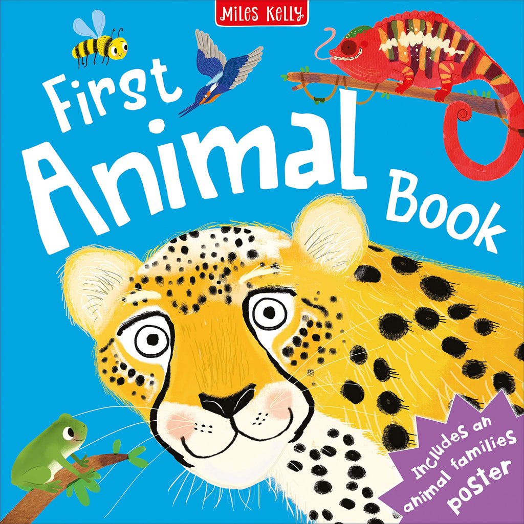 First Animal Book – BookStation